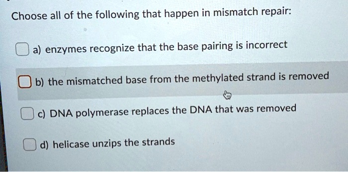 Choose all of the following that happen in mismatch repair: enzymes ...