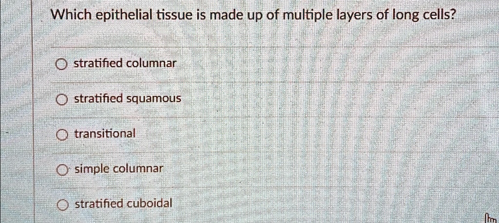 Which epithelial tissue is made up of multiple layers of long cells ...