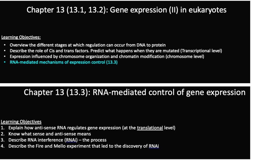 SOLVED: Chapter 13 (13.1,13.2): Gene expression (II) in eukaryotes ...
