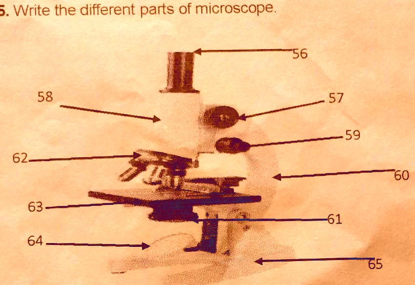 SOLVED: '.Write the different parts of microscope. 5 . Write the different parts of microscope ...