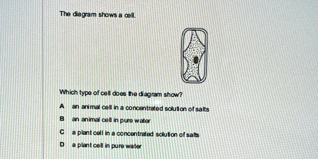 The diagram shows a cell. Which type of cell does the diagram show? A ...