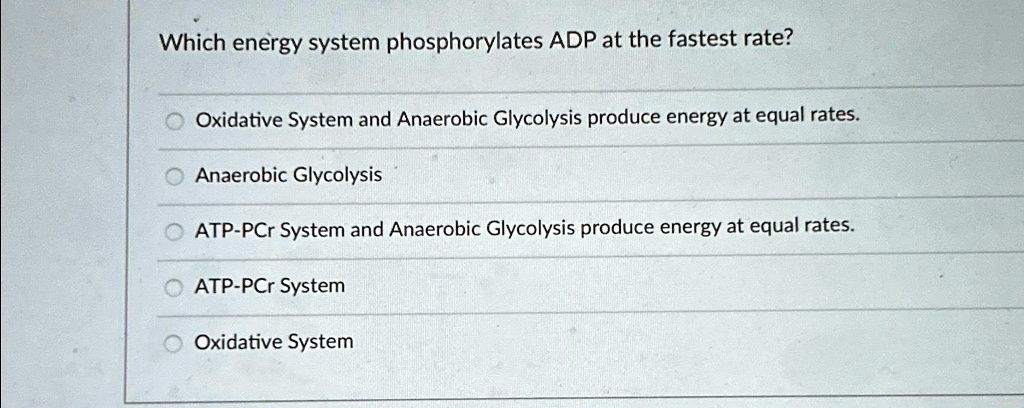 SOLVED: Which energy system phosphorylates ADP at the fastest rate ...