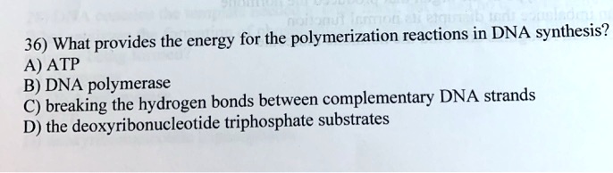 SOLVED: 36) What provides the energy for the polymerization reactions ...