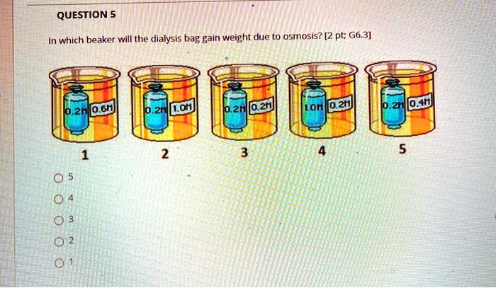 SOLVED: QUESTION 5 In which beaker will the dialysis bag gain weight ...