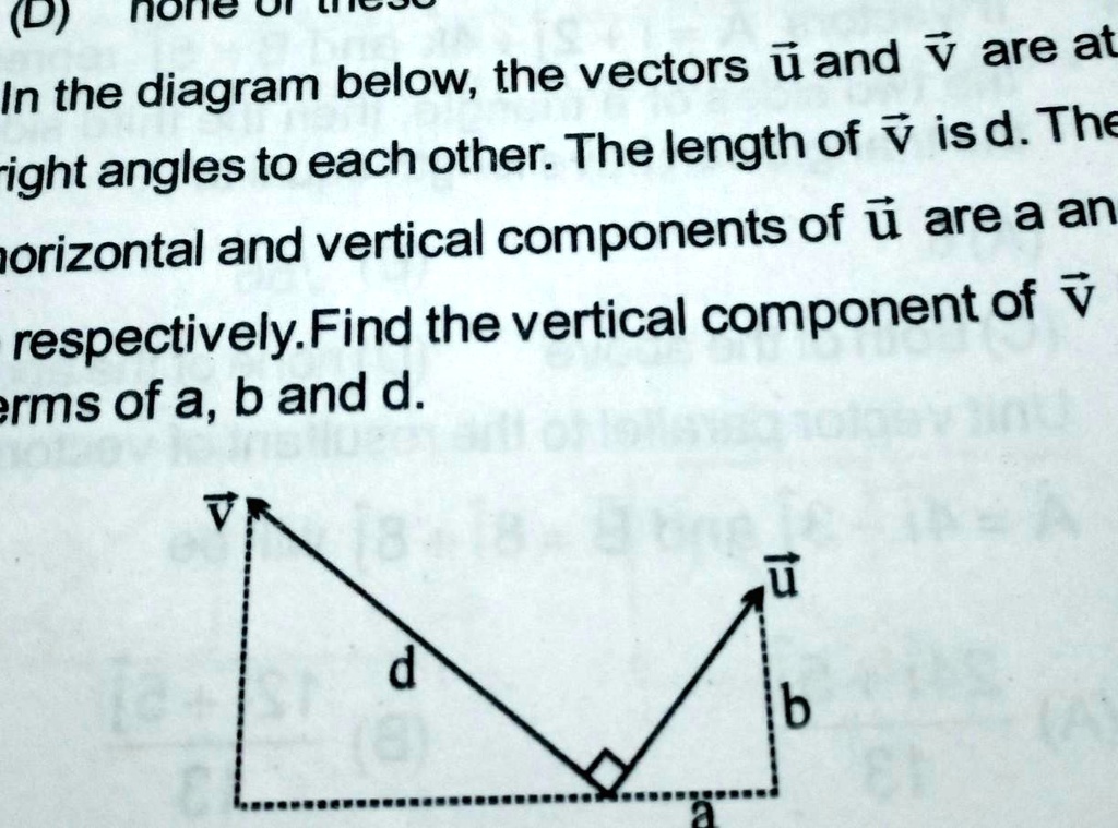 SOLVED: In the diagram below, the vectors u and v are at right angles ...