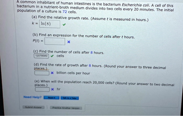 SOLVED: common inhabitant of human intestines bacterium in s the ...