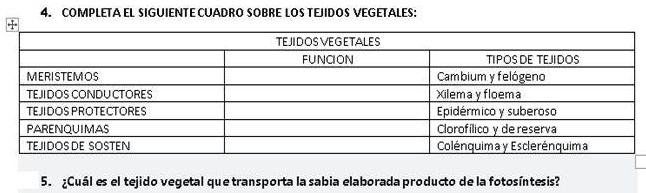 SOLVED: 4. COMPLETA EL SIGUIENTE CUADRO SOBRE LOS TEJIDOS VEGETALES ...