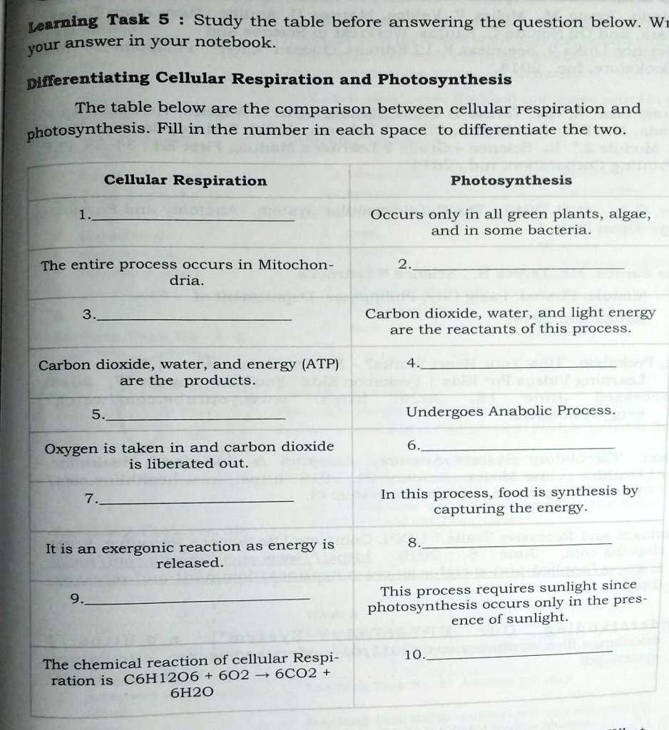 SOLVED: 'the table below are the conparison between cellular ...