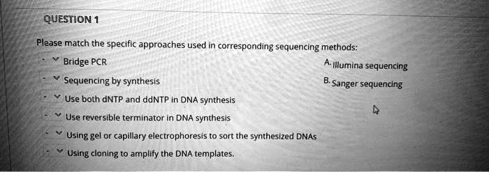 SOLVED: Please match the specific approaches used in corresponding ...