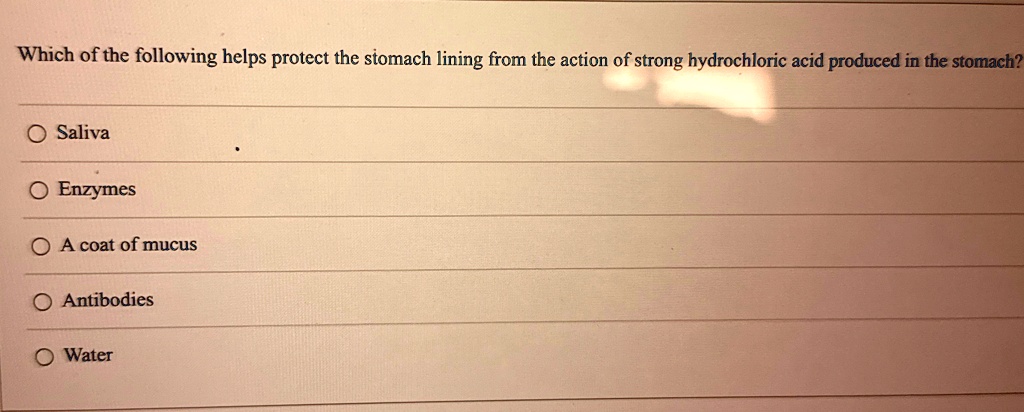 Which of the following helps protect the stomach lining from the action ...