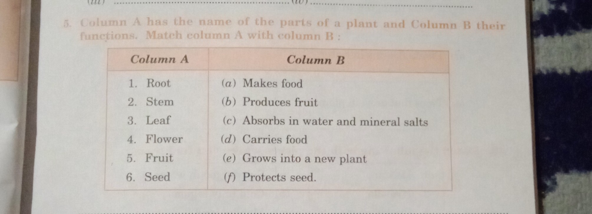 SOLVED: 5. Column A has the name of the parts of a plant and Column B ...
