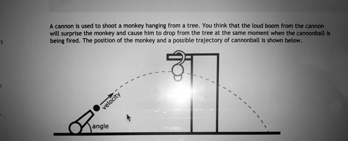 A cannon is used to shoot a monkey hanging from a tree. You think that ...