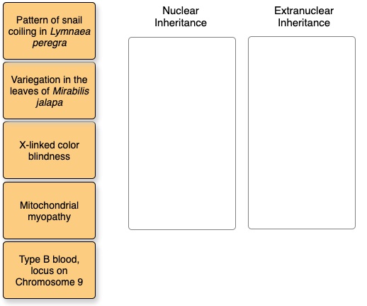 SOLVED: Nuclear Inheritance Extranuclear Inheritance Pattern of snail coiling in Lymnaea peregra ...