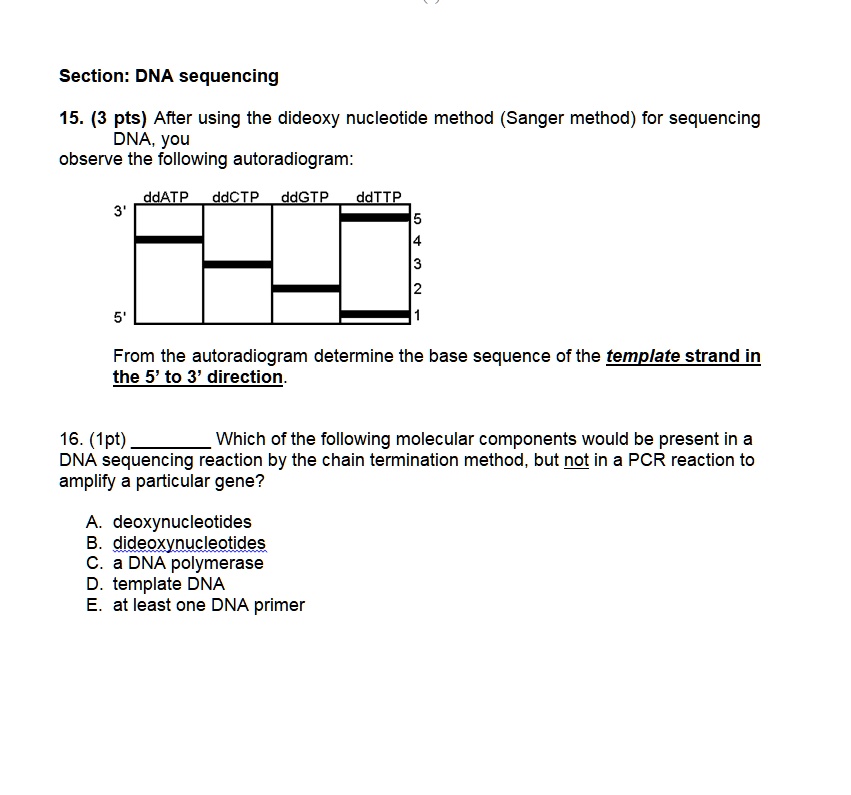 SOLVED: Section: DNA sequencing 15. 3 pts) After using the dideoxy nucleotide method (Sanger ...