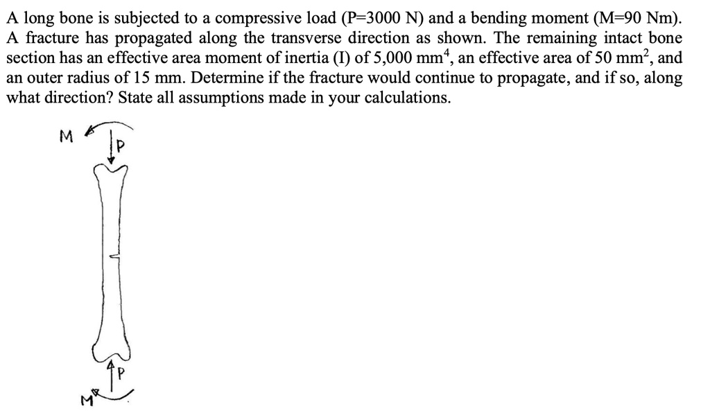 SOLVED: A long bone is subjected to a compressive load (P=3000 N) and a ...