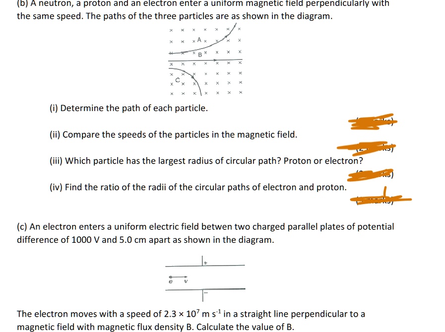 b)A neutron, a proton and an electron enter a uniform magnetic field perpendicularly with the ...