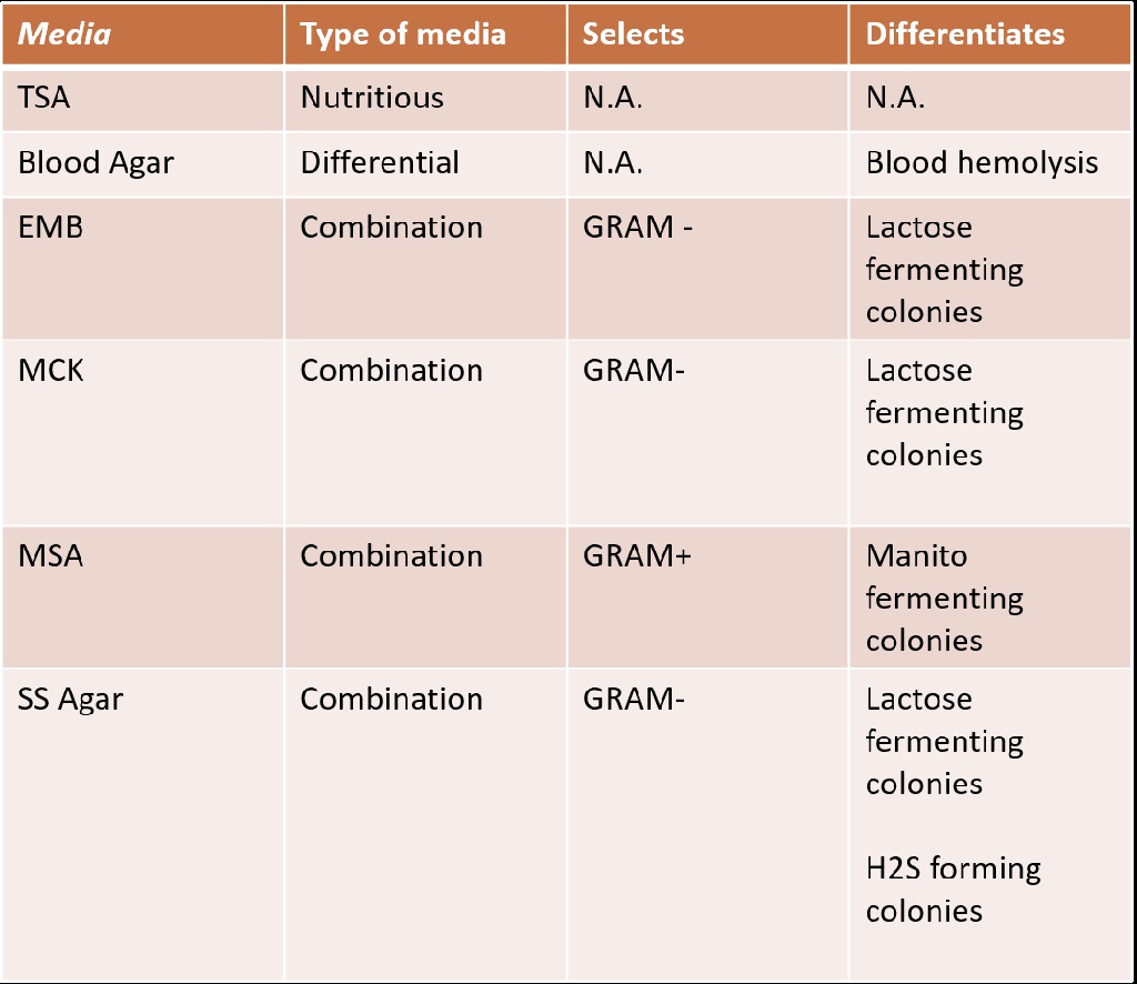 SOLVED: Media Type of media Nutritious Selects Differentiates TSA N.A ...