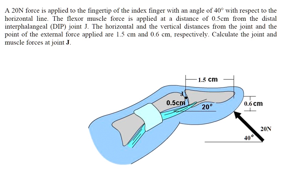 A 20N force is applied to the fingertip of the index finger with an angle of 40° with respect to ...