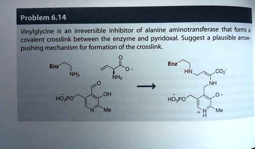 problem 614 vinylglycine is an irreversible inhibitor of alanine ...