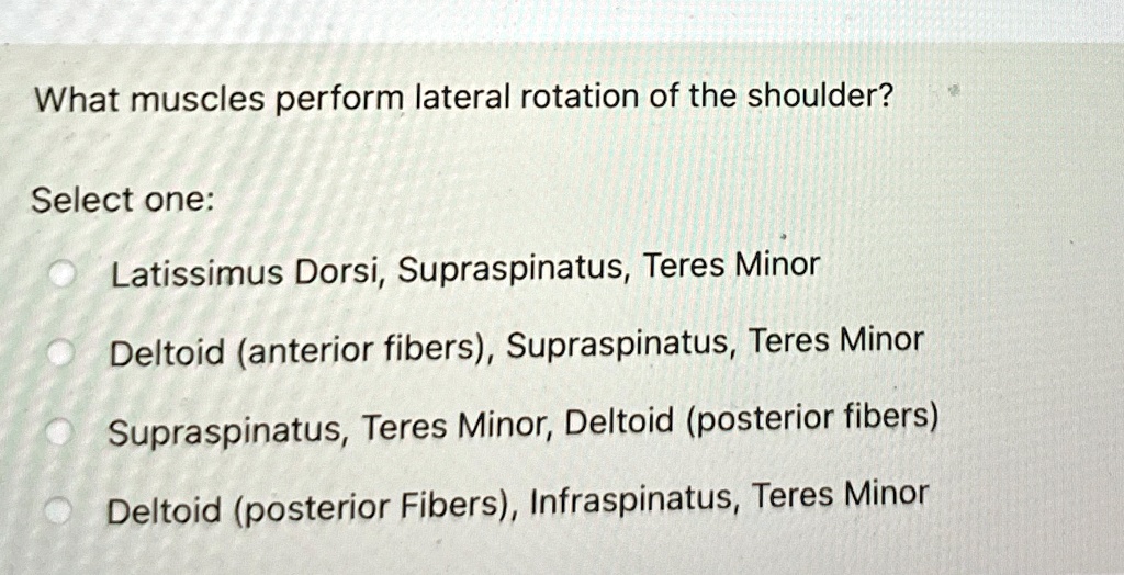 what muscles perform lateral rotation of the shoulder select one ...