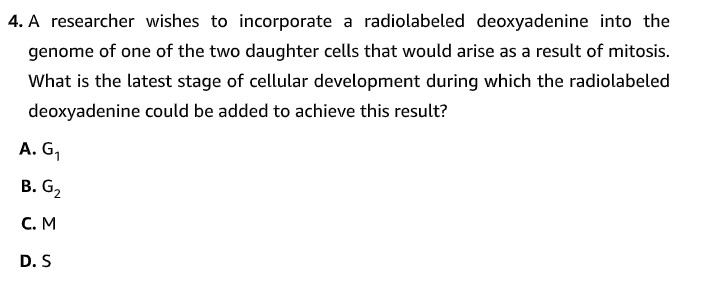 SOLVED: 4. A researcher wishes to incorporate a radiolabeled ...