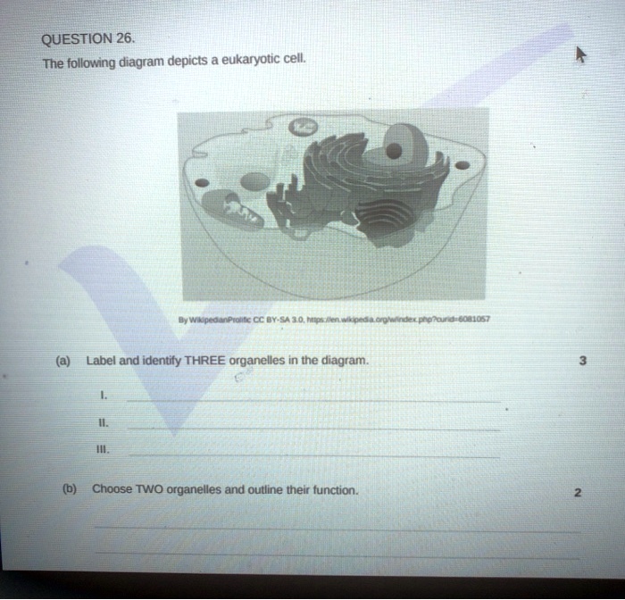 QUESTION 26. The following diagram depicts a eukaryotic cell. Label and ...