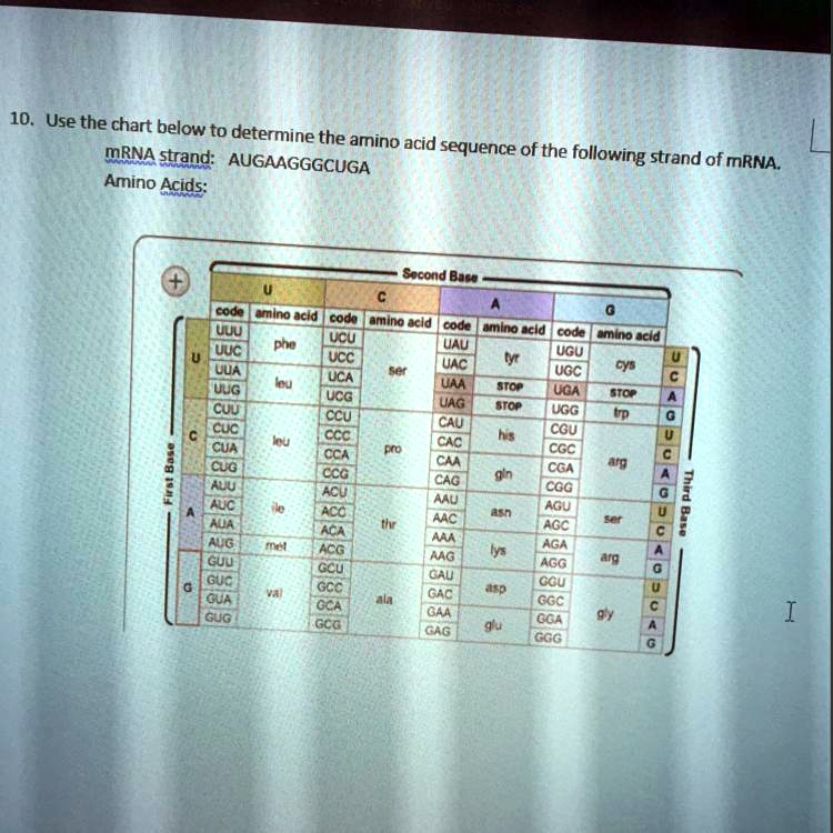 10. Use the chart below to determine the amino acid sequence of the ...