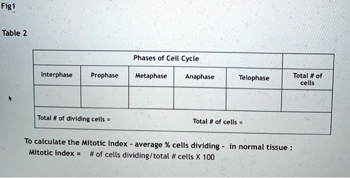 fig1 table 2 phases of cell cycle interphase prophase metaphase anaphase telophase total of ...