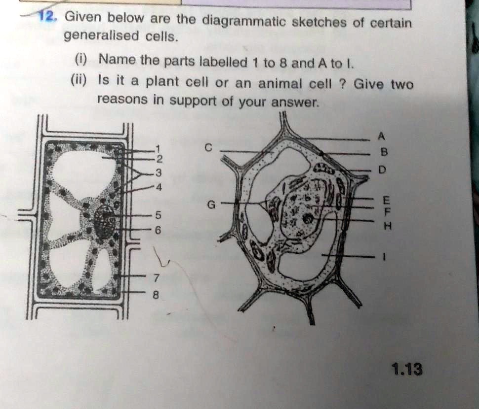 SOLVED: Given below are the diagrammatic sketches of certain ...
