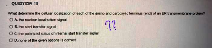 SOLVED: What determines the cellular localization of each of the amino ...
