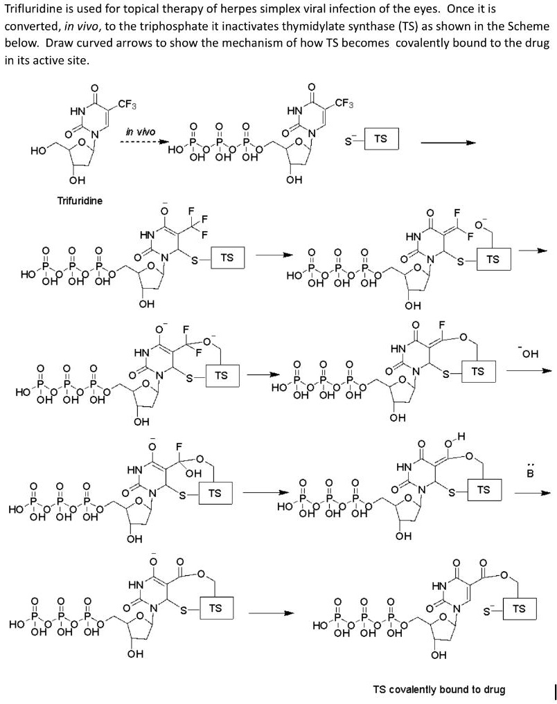 Trifluridine is used for topical therapy of herpes simplex viral ...