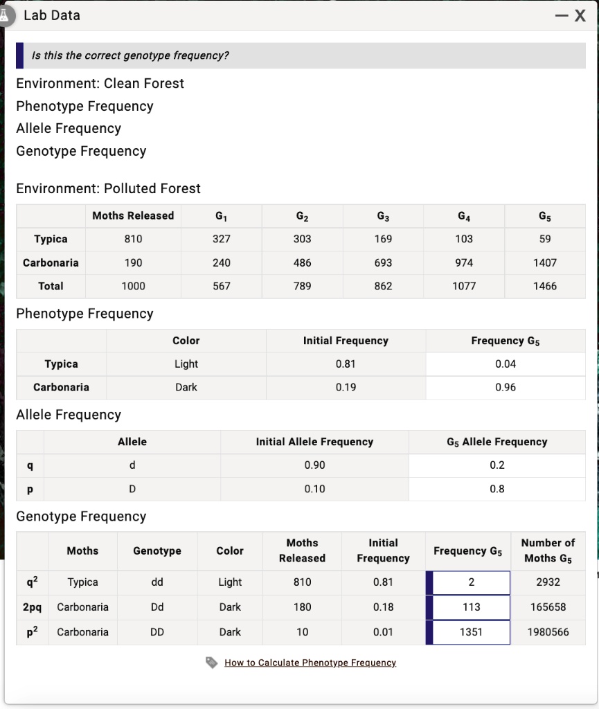 Lab Data Is this the correct genotype frequency? Environment: Clean ...