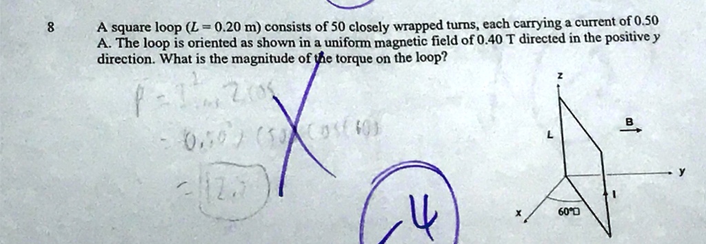 SOLVED: A square loop (L = 0.20 m) consists of 50 closely wrapped turns, each carrying a current ...