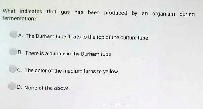 what indicates that gas has been produced by an organism during ...