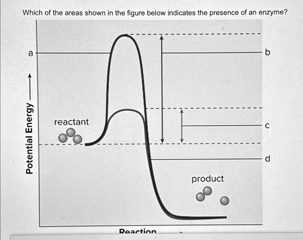 Which of the areas shown in the figure below indicates the presence of ...