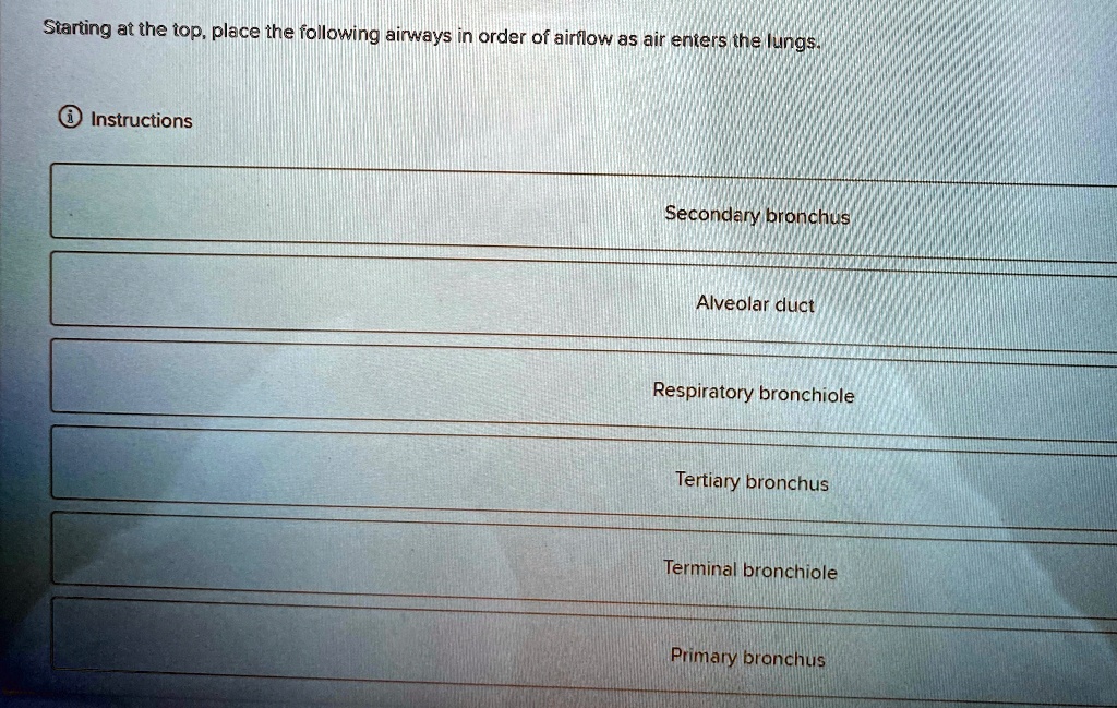 Starting at the top, place the following airways in order of...