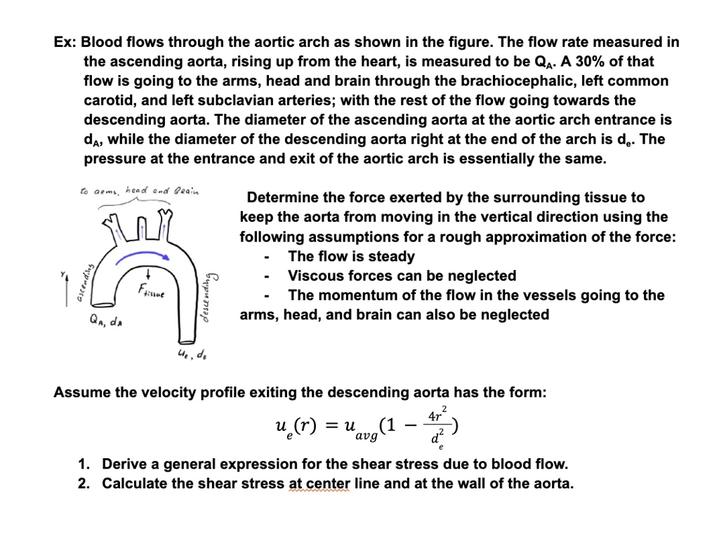 Ex: Blood flows through the aortic arch as shown in the figure. The ...