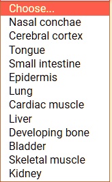 SOLVED: Choose. Nasal conchae Cerebral cortex Tongue Small intestine ...