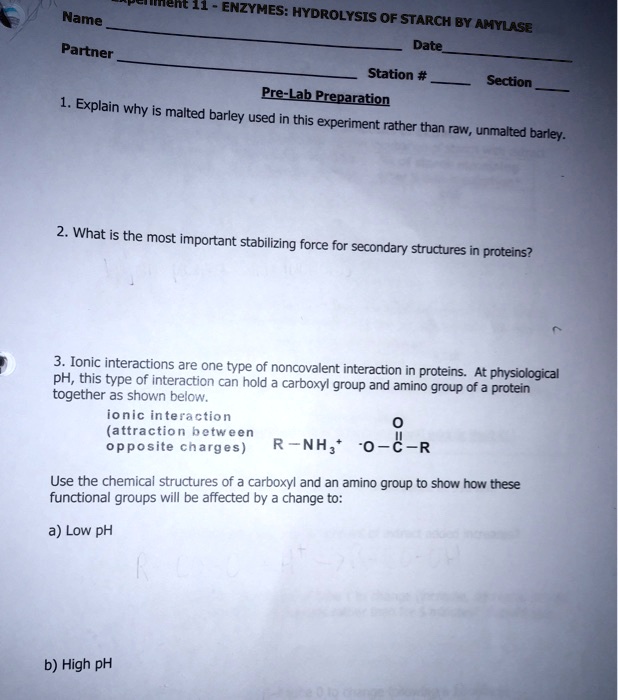 SOLVED: ENZYMES: HYDROLYSIS OF STARCH BY AhyLASE Date Name Partner ... SOLVED: ENZYMES: HYDROLYSIS OF STARCH BY AhyLASE Date Name Partner ...