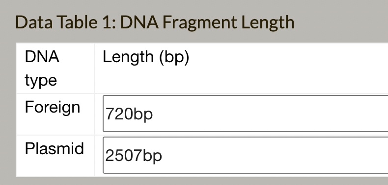 Data Table 1: DNA Fragment Length DNA type Length (bp) Foreign 720bp Plasmid 2507bp