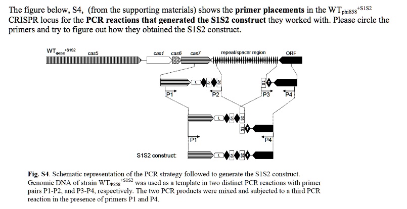 SOLVED: The figure below (84) from the supporting materials shows the ...