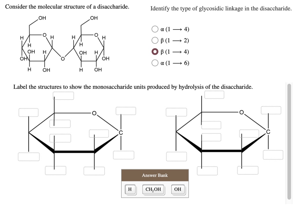 SOLVED: Consider the molecular structure of a disaccharide Identify the ...