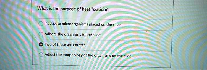 SOLVED: What is the purpose of heat fixation? Inactivate microorganisms ...