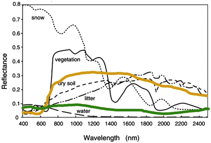 SOLVED: 'Question 6 The figure below gives the reflectance spectra of ...