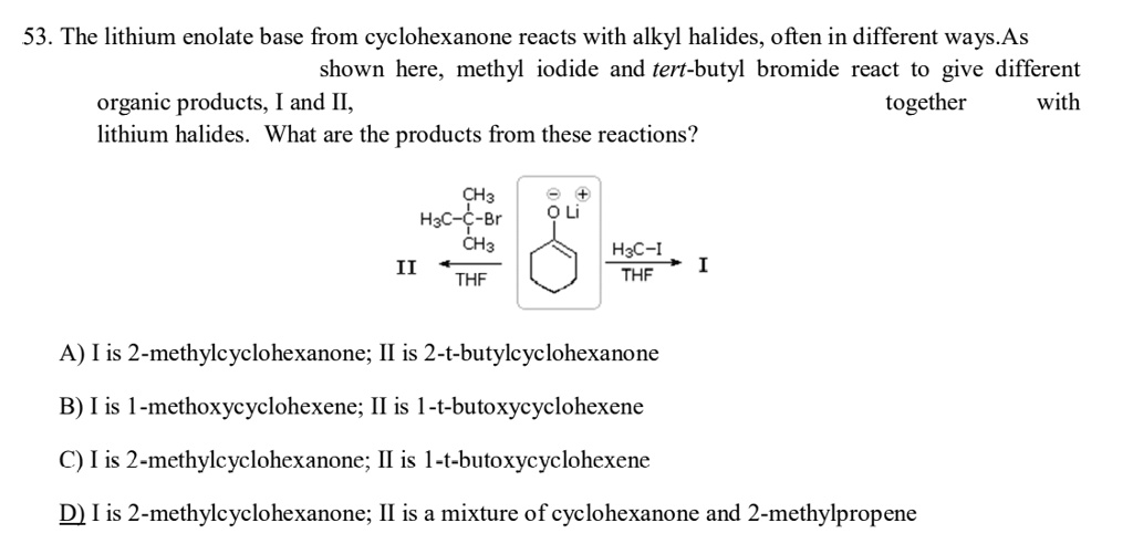 53 the lithium enolate base from cyclohexanone reacts with alkyl ...