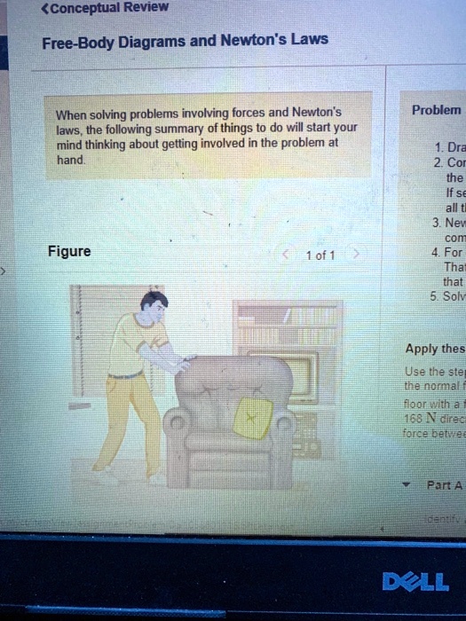SOLVED: (Conceptual Review Free-Body Diagrams and Newton'Laws When ...