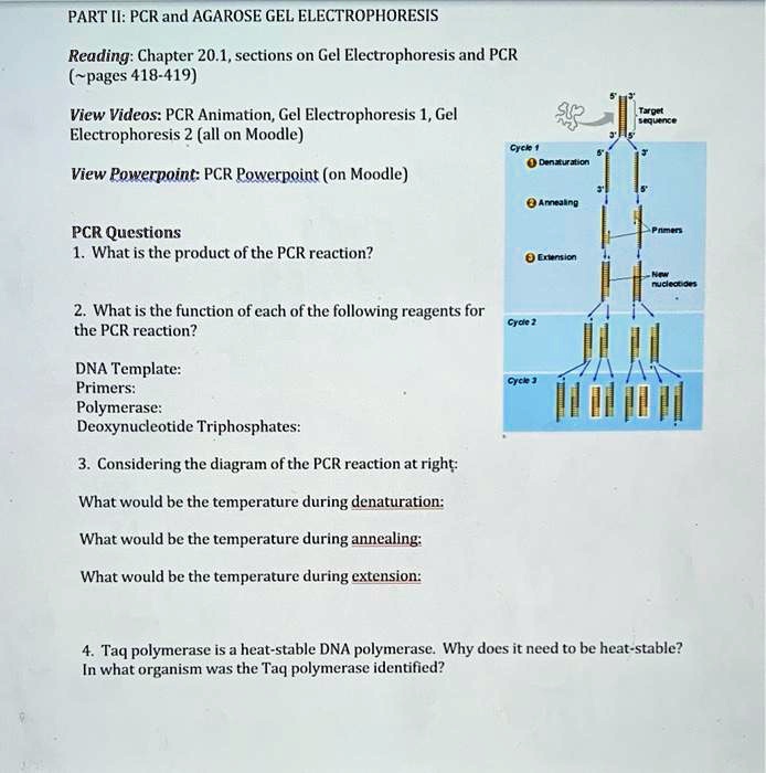 part il pcr and agarose gel electrophoresis reading chapter 201 ...
