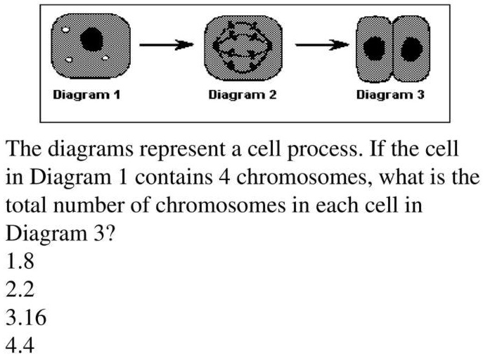 the diagram represent a cell process if the diagram 1 contains 4 ...