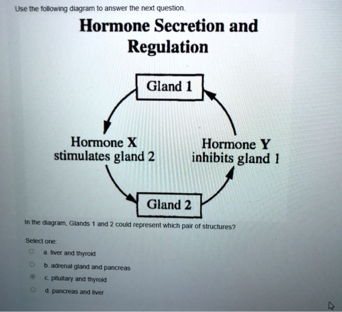 Solved Use The Following Diagram To Answer The Next Question Hormone