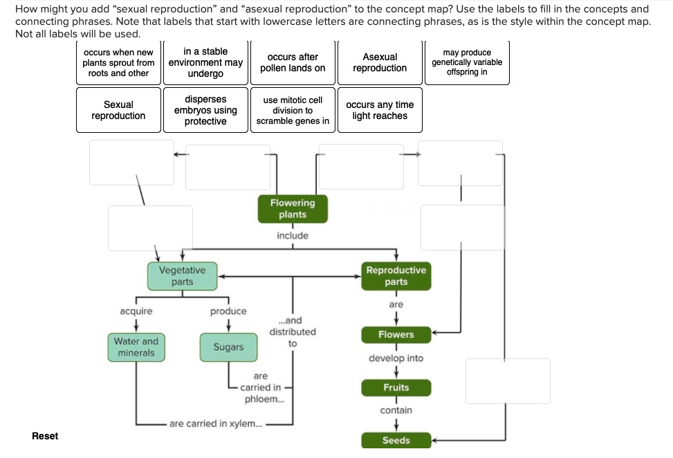 how might you add sexual reproduction and asexual reproduction to the ...
